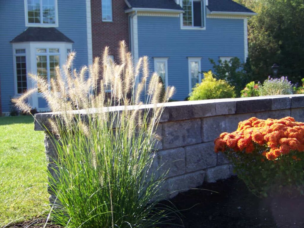 Storm Cleanup Services | New Generation Landscaping & Fence