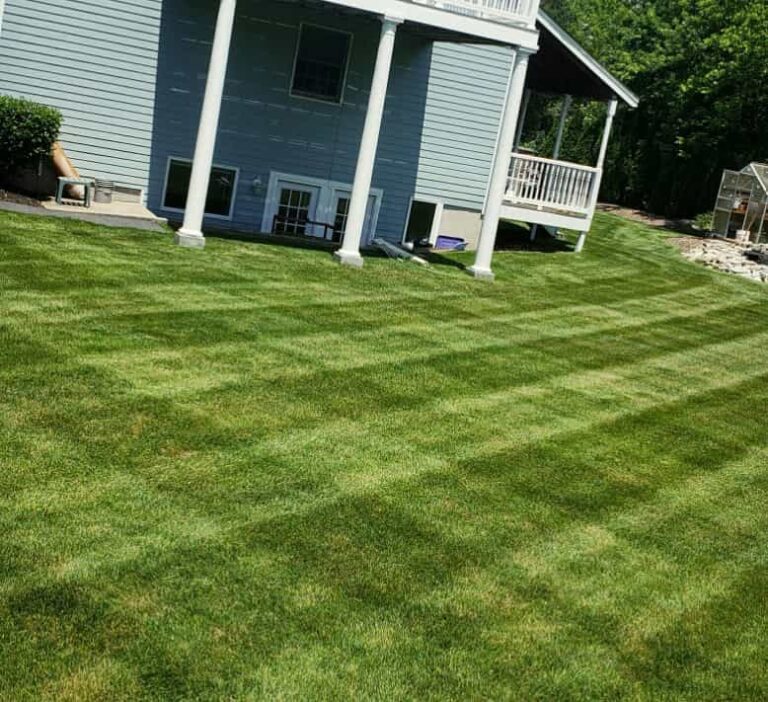 Sod Installation Services | New Generation Landscaping & Fence